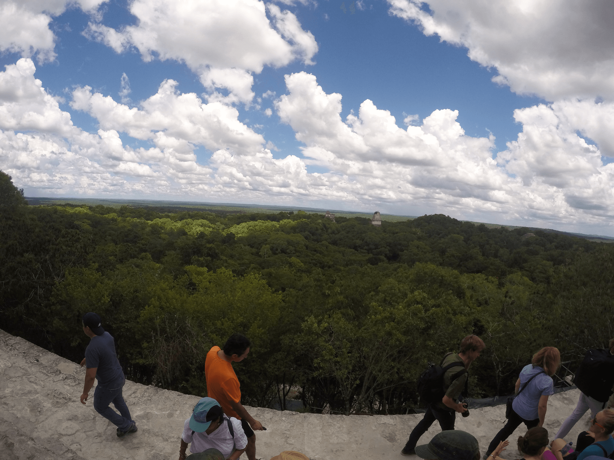 Qué ver en Tikal: la ciudad maya más impresionante de Guatemala