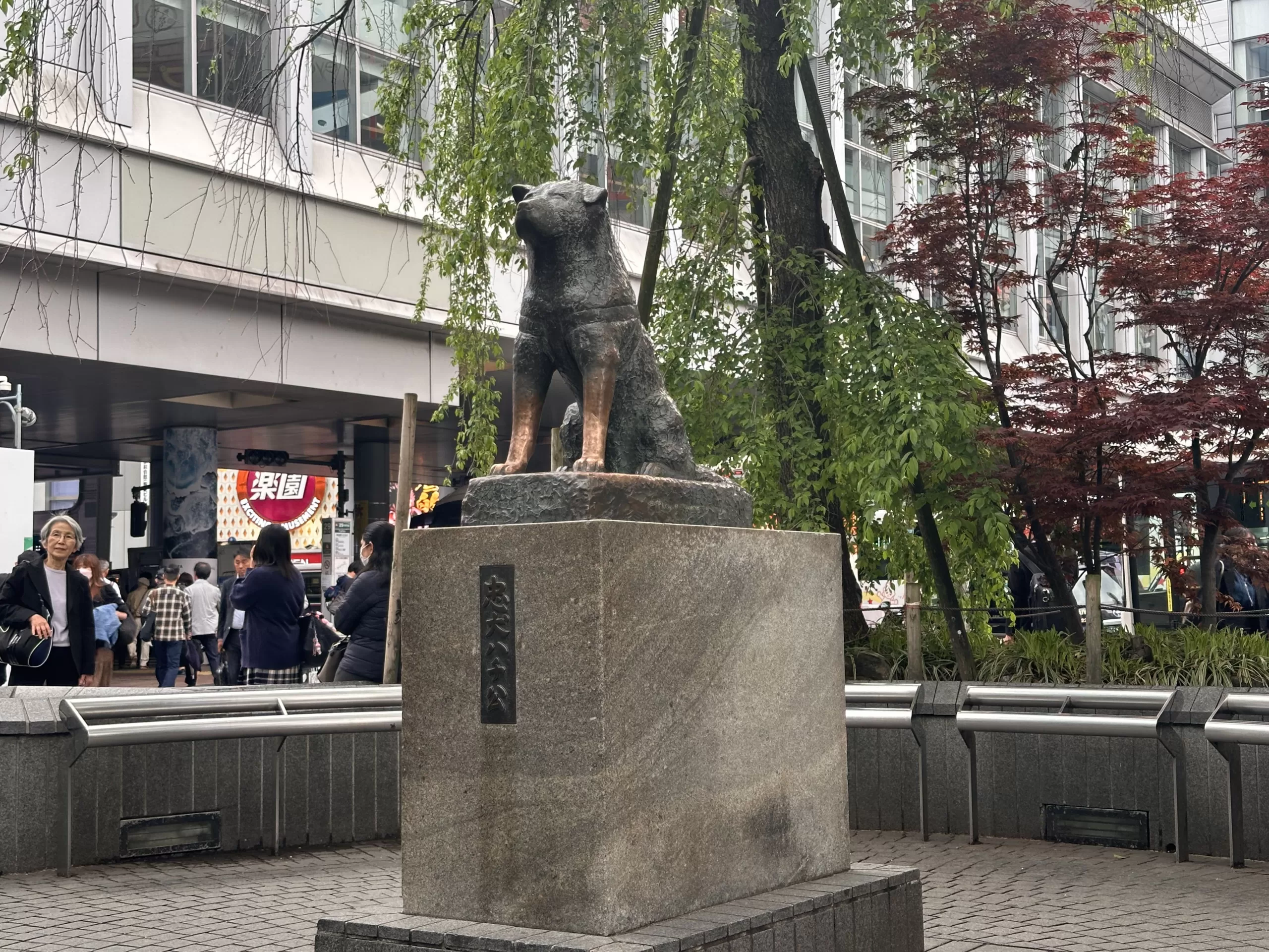 Visitar a Hachiko: El perro de Shibuya en Tokio | Japón