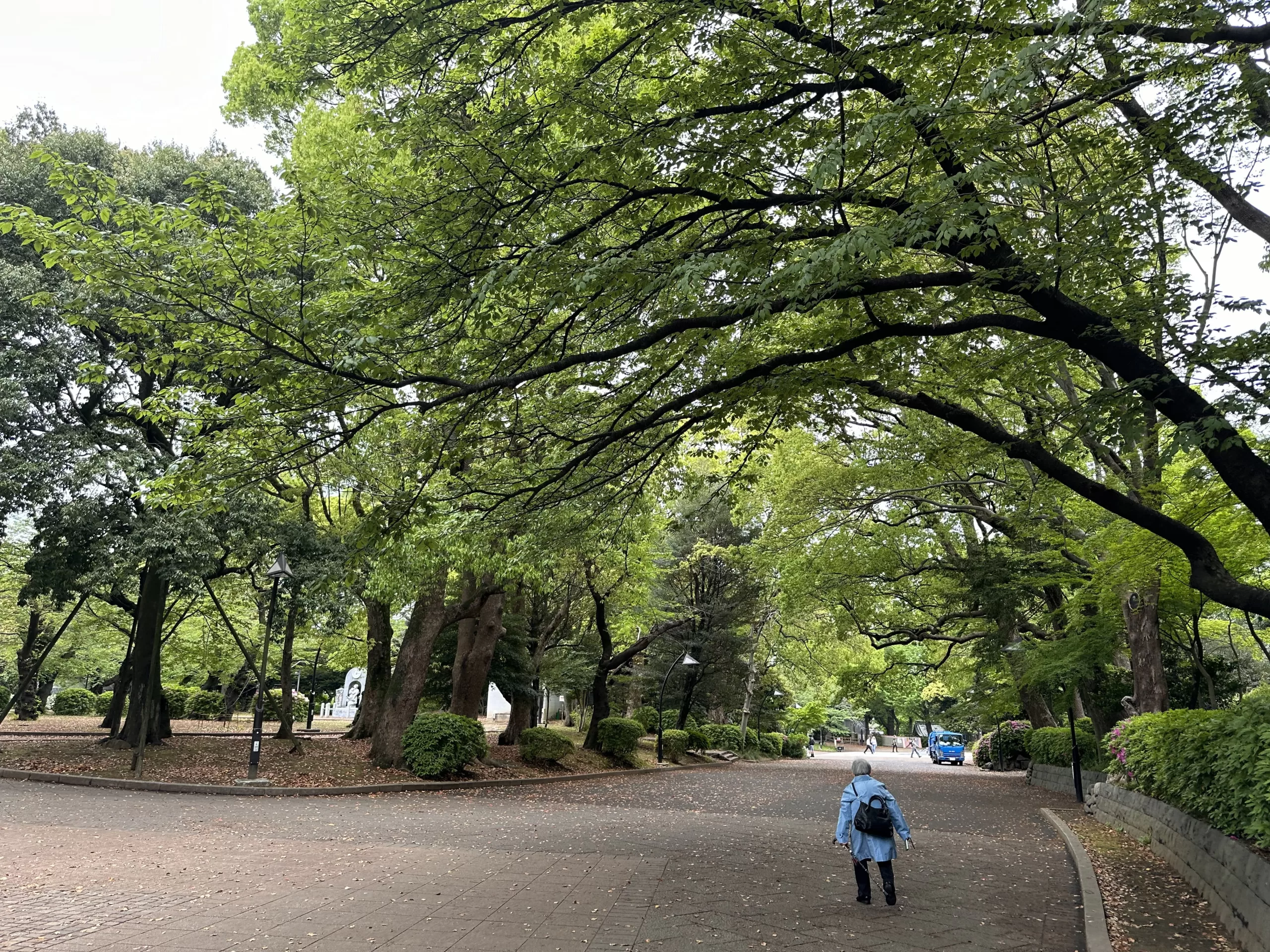 Visitar el Parque Ueno en Tokio: Guía Completa | Japón