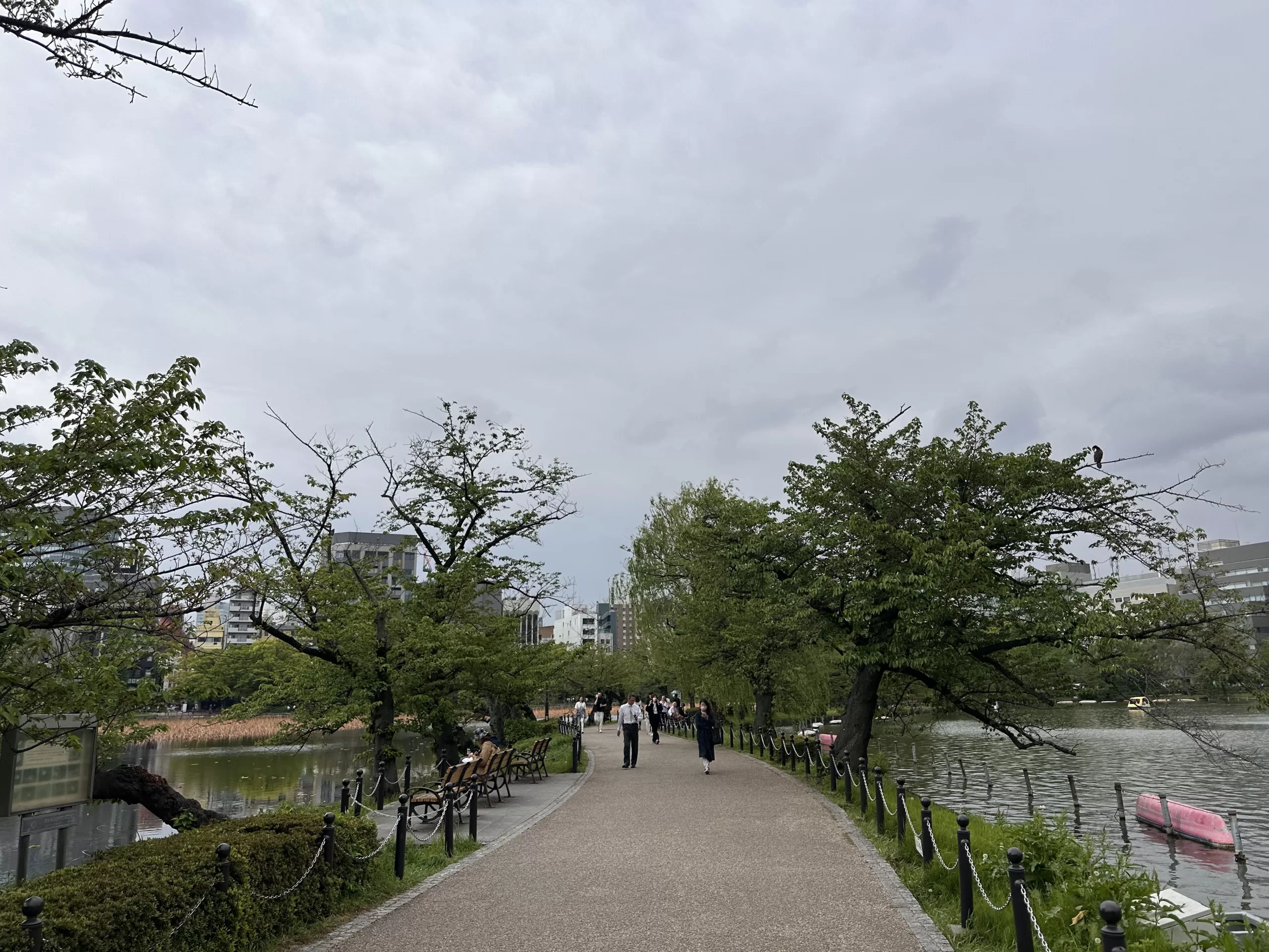 Visitar el Parque Ueno en Tokio: Guía Completa | Japón